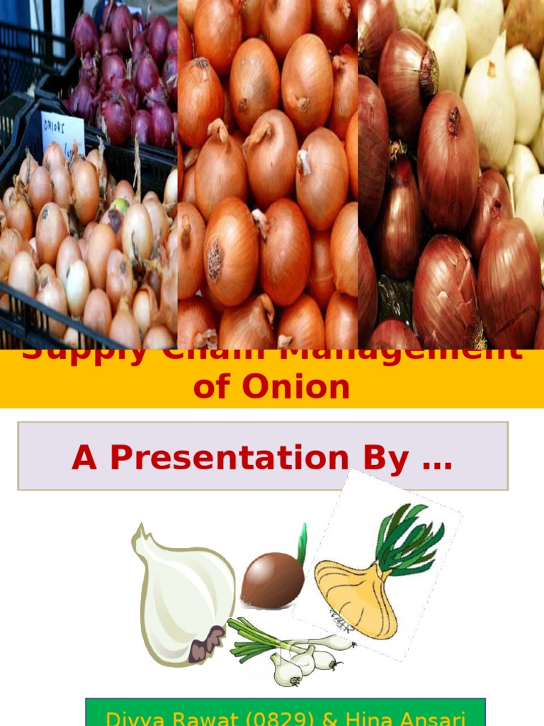 Supply Chain Management of Onion | PDF | Onion | Humidity