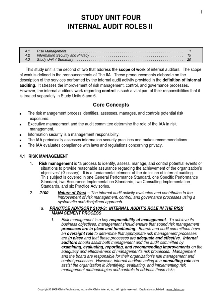 Internal Audit Roles | PDF