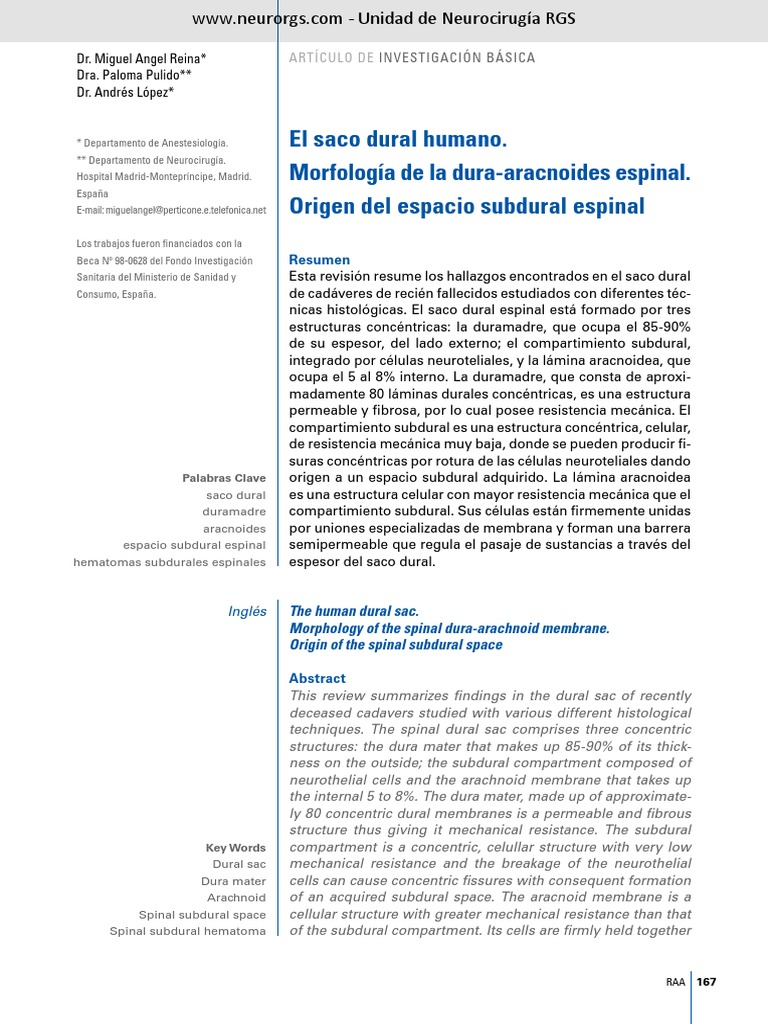 El Saco Dural Humano | PDF | Médula espinal | Anatomía
