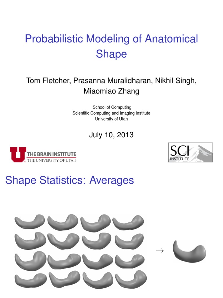 Probabilistic Shape Modeling in Aging | PDF | Mathematical Analysis ...