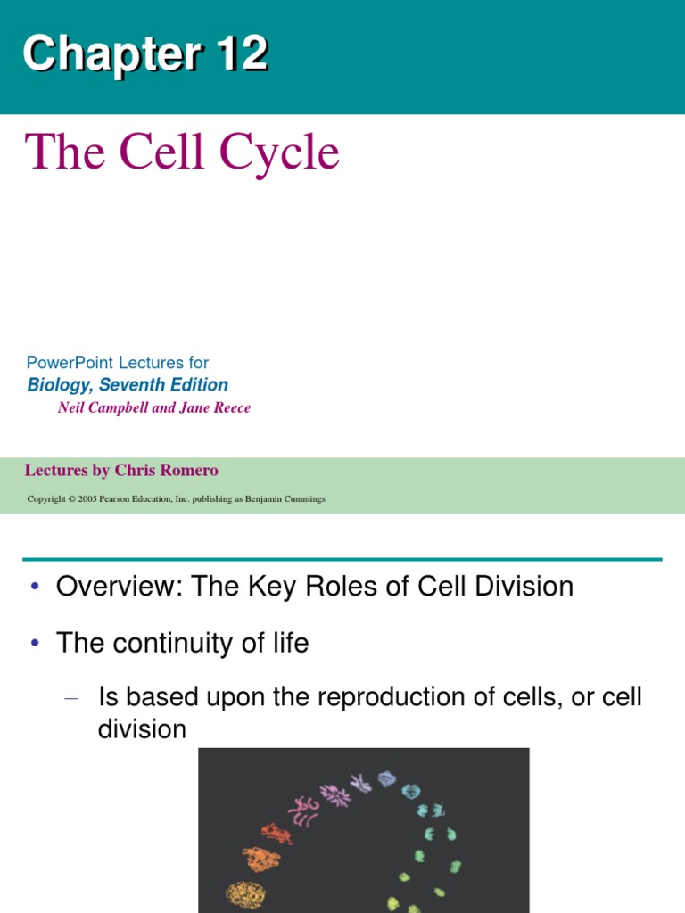 The Cell Cycle: Powerpoint Lectures For | PDF | Mitosis | Chromosome