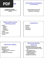 Differential Diagnosis of Flank Pain | PDF | Kidney | Urinary Tract ...