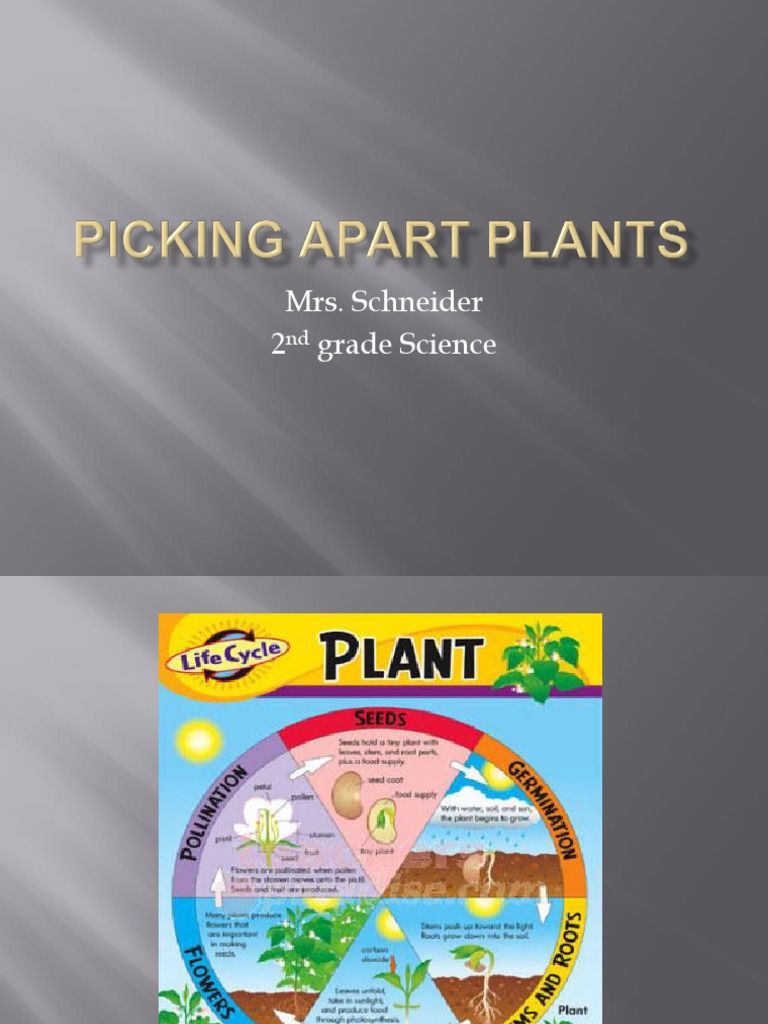 Analyzing Science Concepts in 2nd Grade | PDF