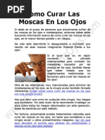 Enfermedades de La Vista y Los Ojos: Como Curar Las Enfermedades de La ...