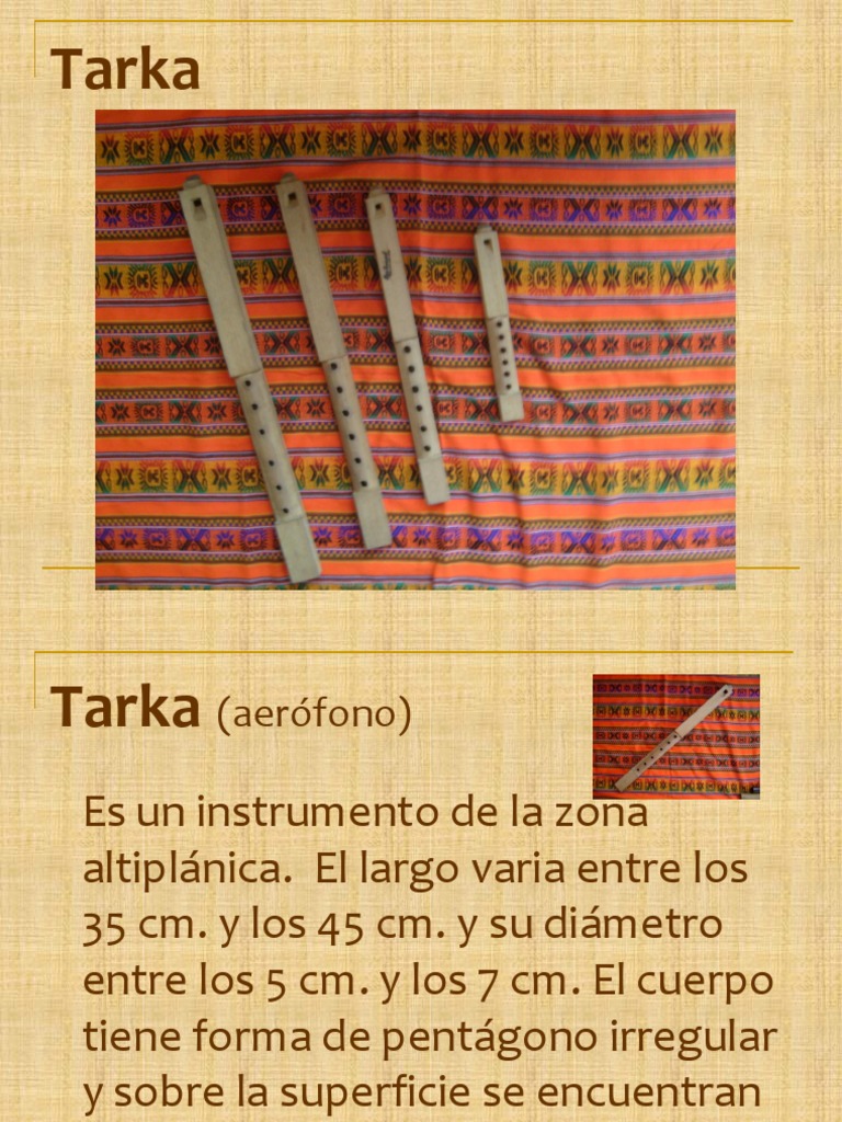 Presentacion Instrumentos Folclorico de Chile 2010 | PDF | Guitarras ...