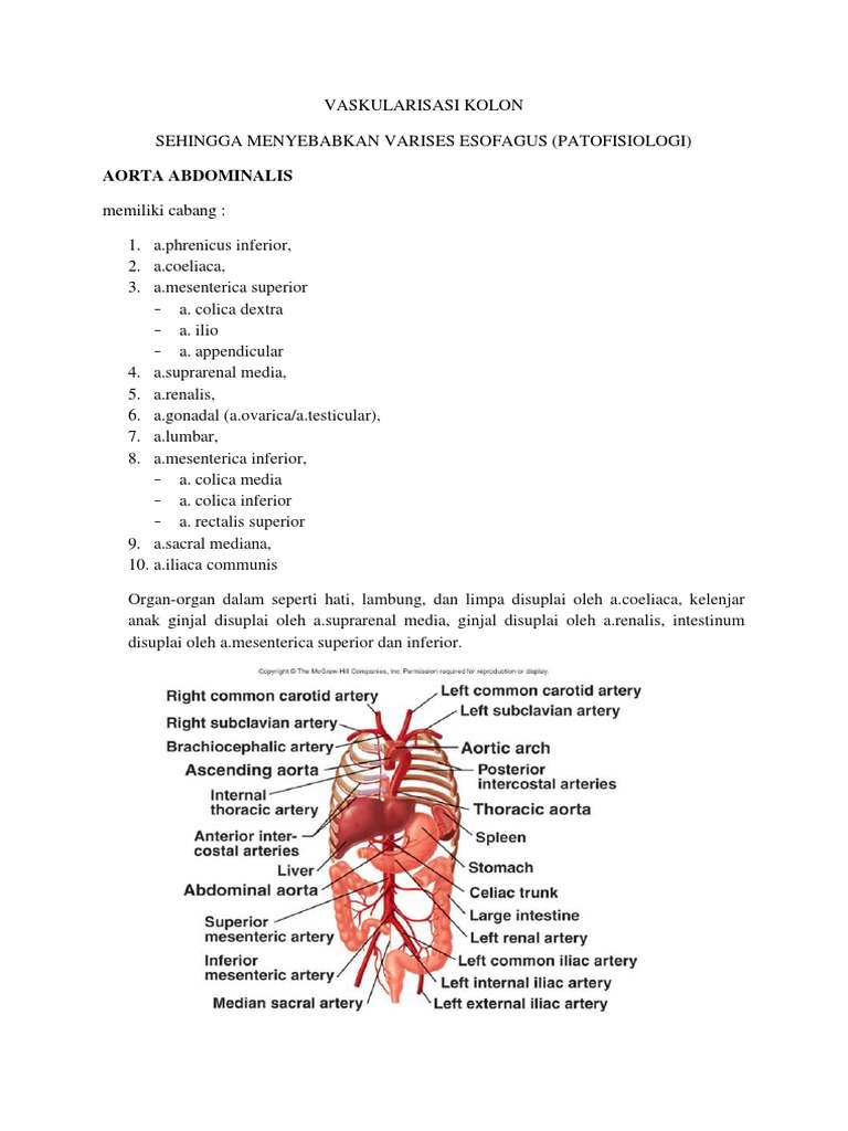 Patofisiologi Varises Esofagus dan Vena Porta | PDF