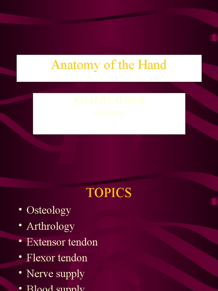 Hand Anatomy | PDF | Hand | Limbs (Anatomy)