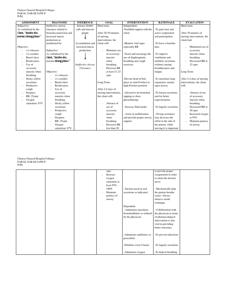 NCP Copd Airway | PDF | Respiratory Tract | Mucus