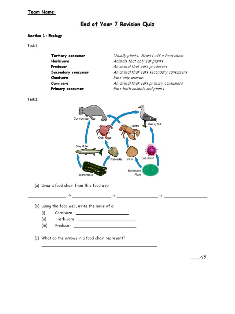 End of Year 7 Revision Quiz (Science) | Download Free PDF | Uterus ...
