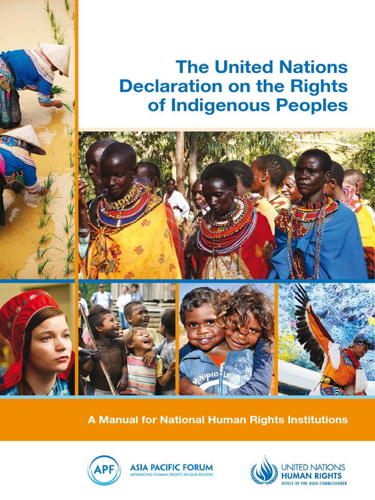 The United Nations Declaration On The Rights of Indigenous Peoples ...