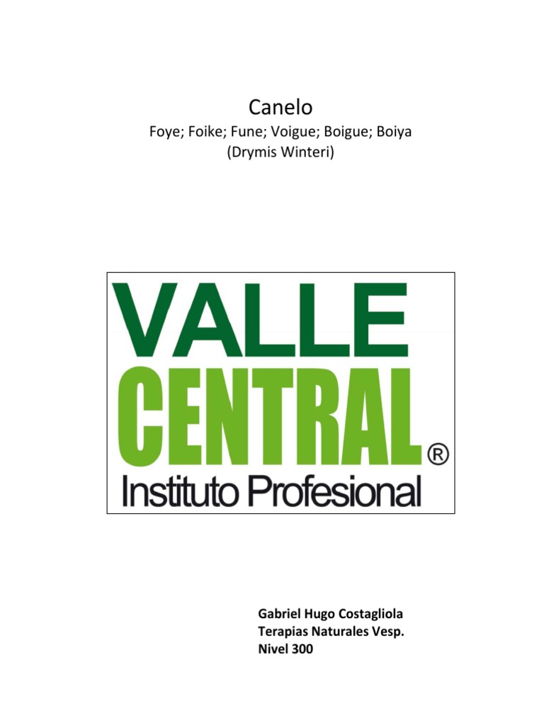 Trabajo Sobre El Canelo | PDF | Plantas | Naturaleza
