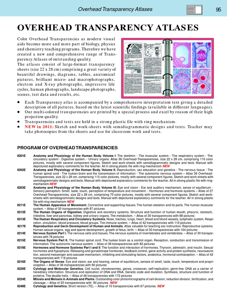 Overhead Transparency Human Atlas | PDF | Lung | Heart