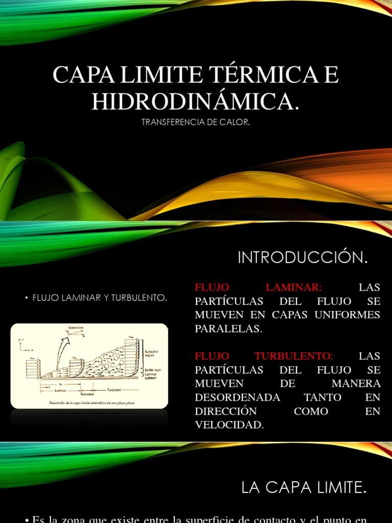 Capa Limite Térmica e Hidrodinámica | PDF