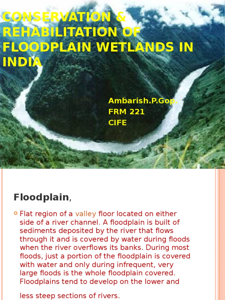Conservation and Rehabilitation of Flood Plain | PDF | Floodplain | River