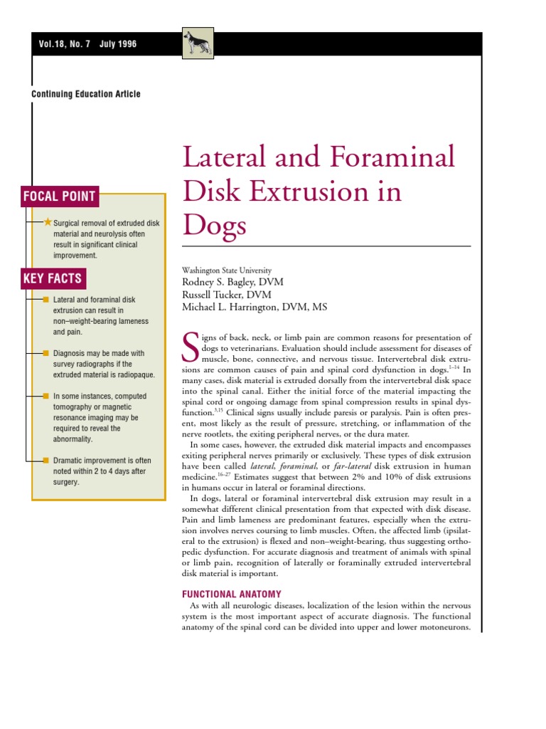 Lateral and Foraminal Disk Extrusion in Dogs | PDF | Vertebral Column ...