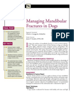 CSU Canine Acute Pain Scale Guide | PDF | Pain | Diseases And Disorders