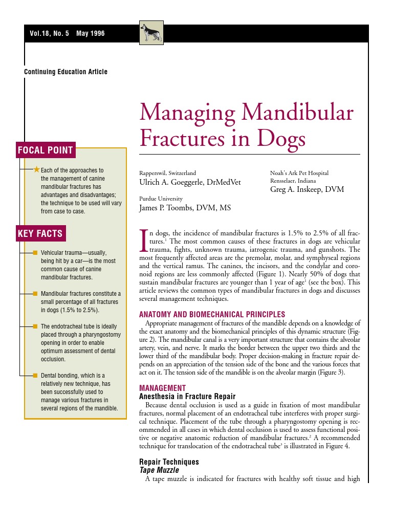 CANINE-MAnaging Mandibular Fractures in Dogs | PDF | Medical Specialties