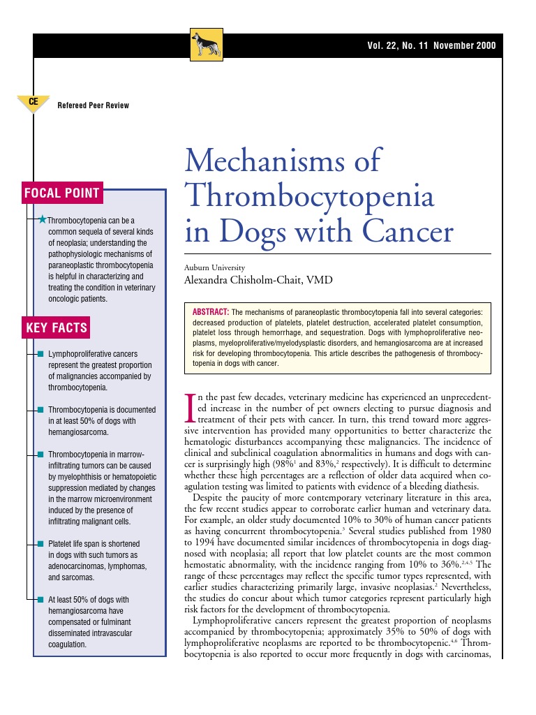 CANINE-Mechanism of Thrombocytopenia in Dogs With Cancer | PDF ...