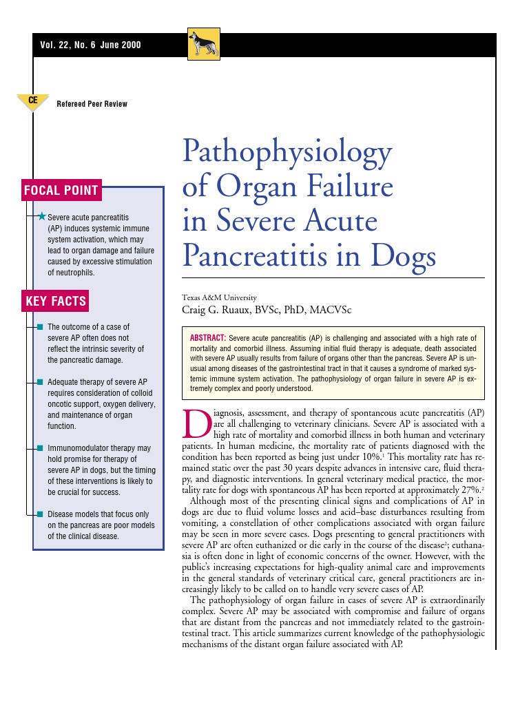 CANINE-Pathophysiology of Organ Failure in Severe Acute Pancreatitis in ...