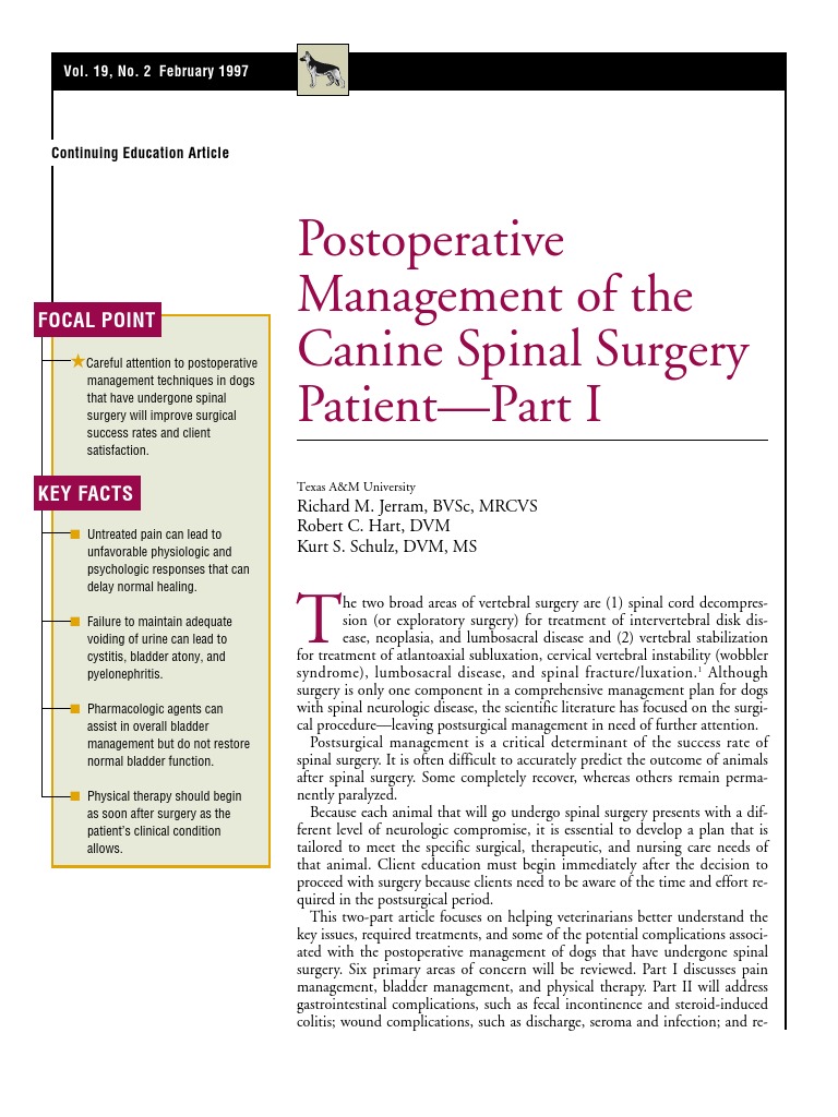 Canine Spinal Surgery Care Guide | PDF | Morphine | Urination