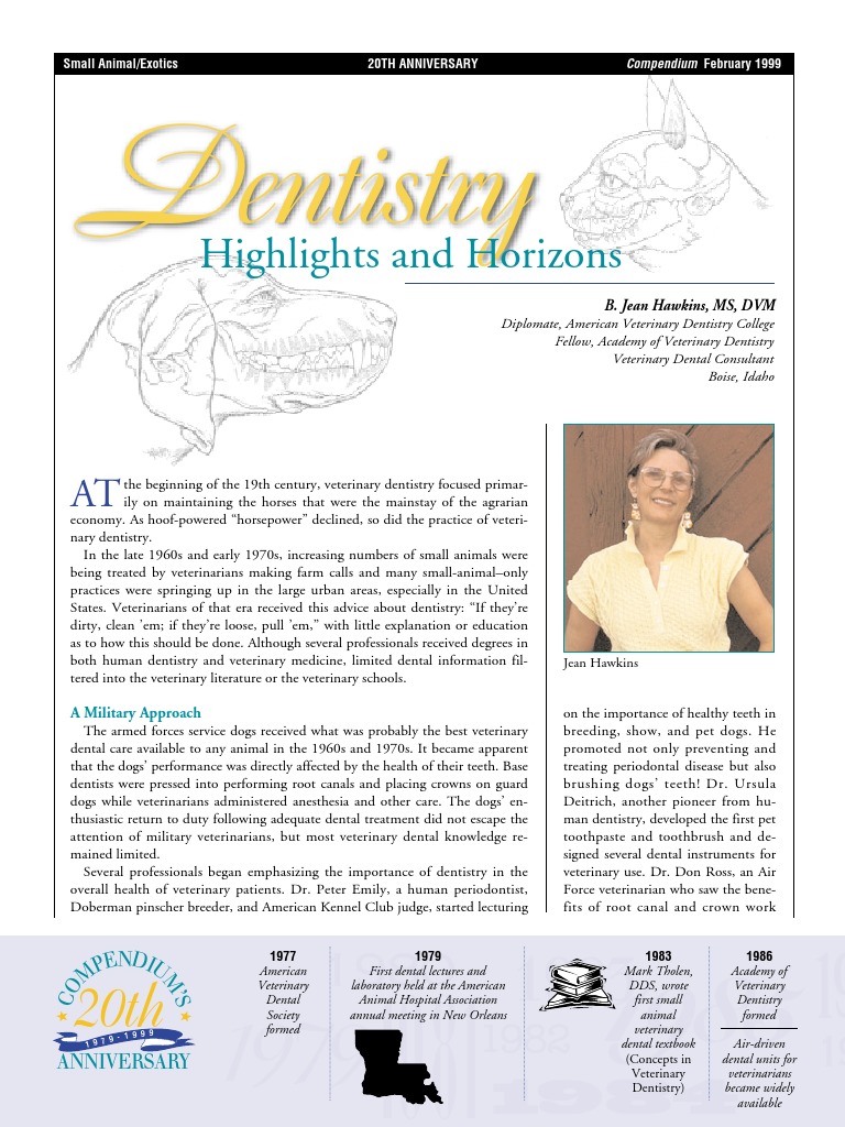 Small Animal/Exotics | PDF | Veterinary Physician | Dentistry
