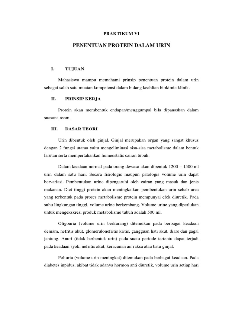 Penentuan Protein Dalam Urin | PDF