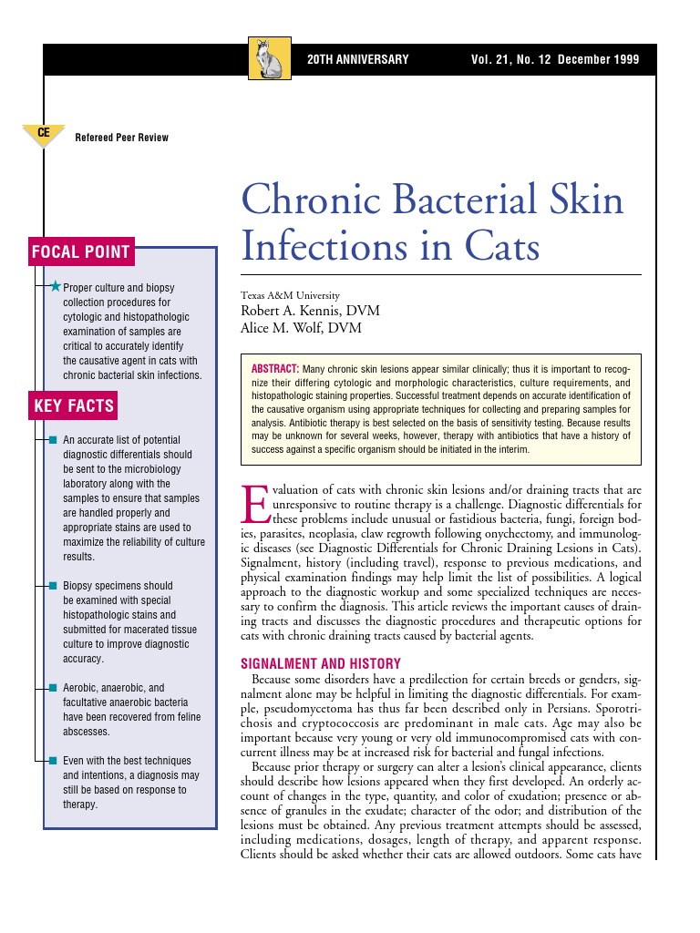 FELINE - Chronic Bacterial Skin Infections in Cats | PDF ...