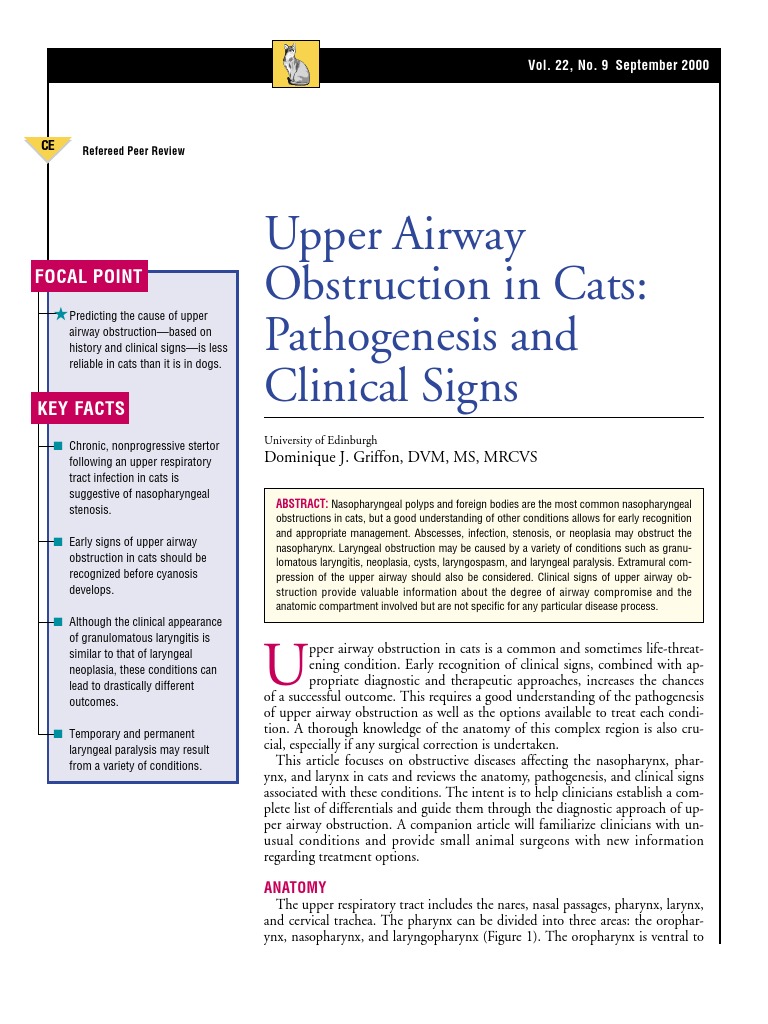 FELİNE-Upper Airway Obstruction in Cats Pathogenesis and Clinical Signs ...