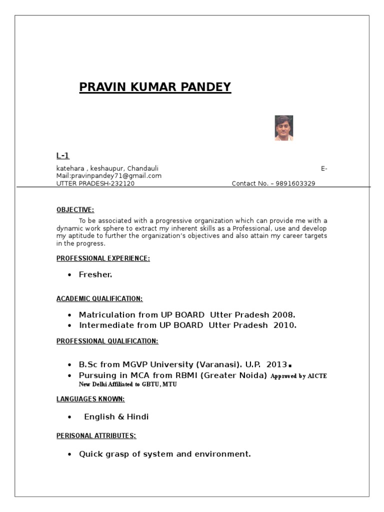 Praveen Kumar Pandey's Resume | PDF