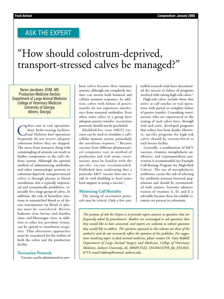 How Should Colostrum-Deprived, Transport-Stressed Calves Be Managed ...