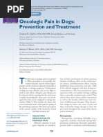 Kitty Magic | PDF | Anesthesia | Surgery