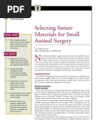 Swine Blood Collection Guide | PDF | Vein | Syringe