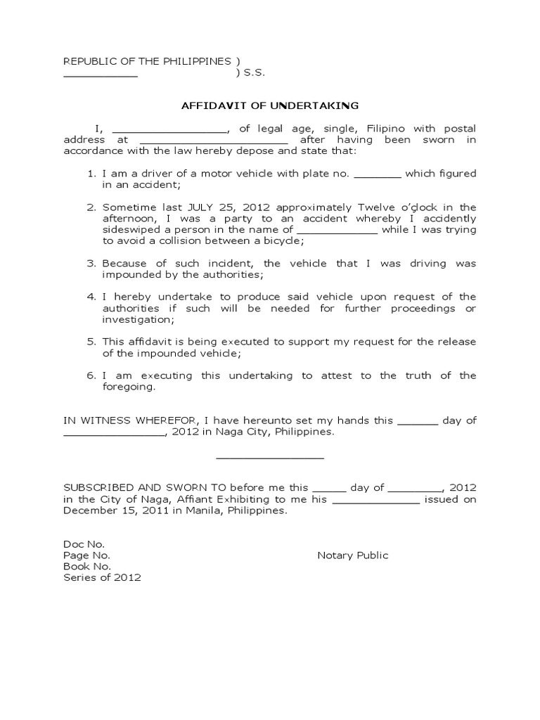 Affidavit of Undertaking | Affidavit | Legal Documents