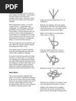 Six Boy Scout Knots | PDF | Knot | Rope