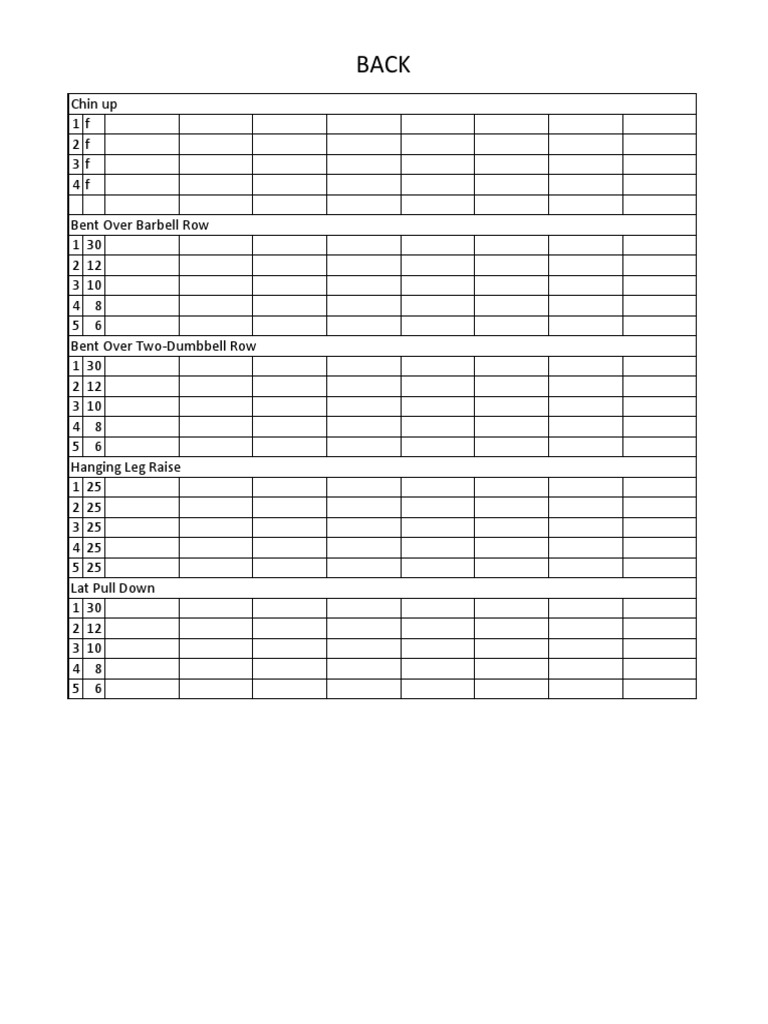 Back Workout Plan and Exercises | PDF