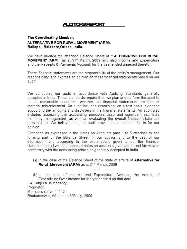 ARM Financial Audit Report 2009 | PDF