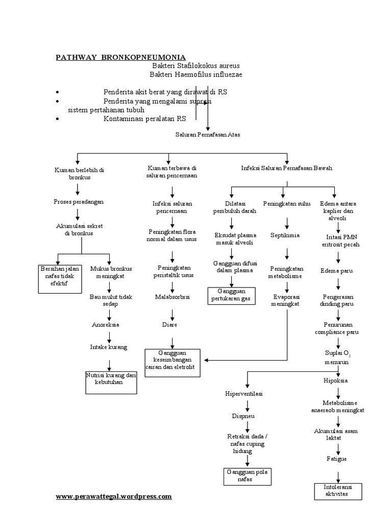 Pathway Bronkopneumonia | PDF