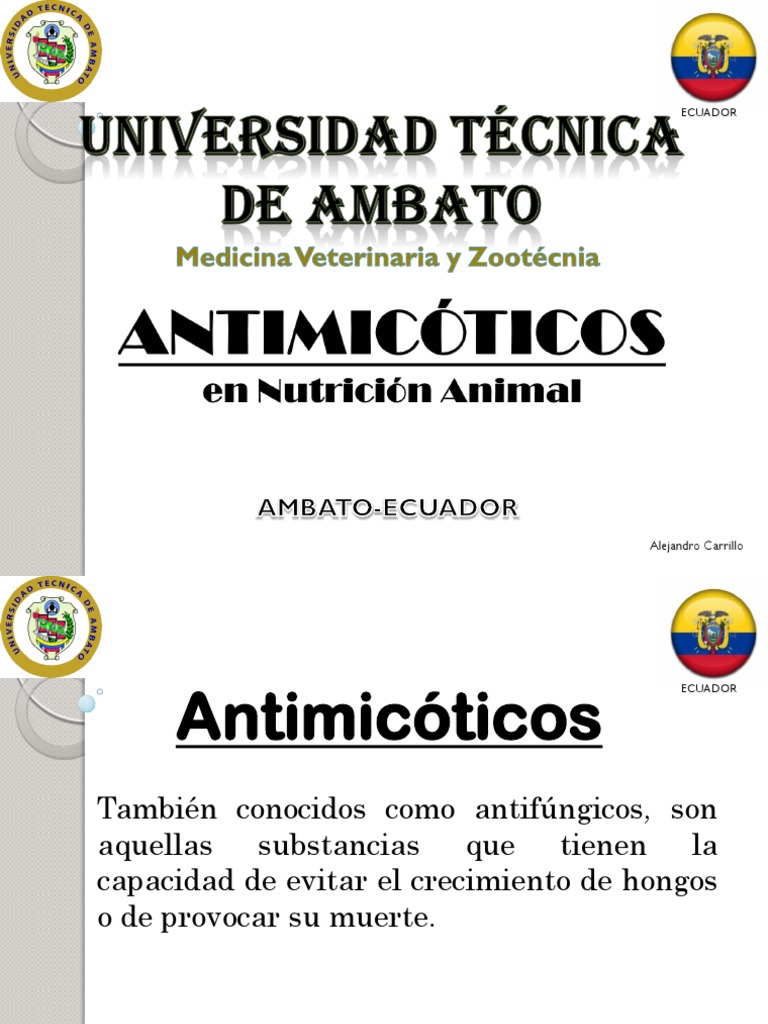 Antimicóticos en Nutricion Animal PDF | PDF | Hongo | Alimentos