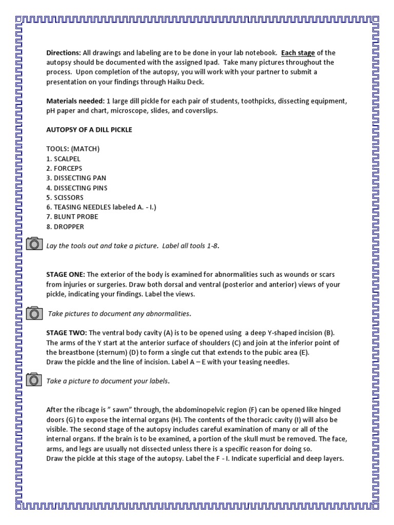 Pickle Autopsy | PDF | Autopsy | Human Body