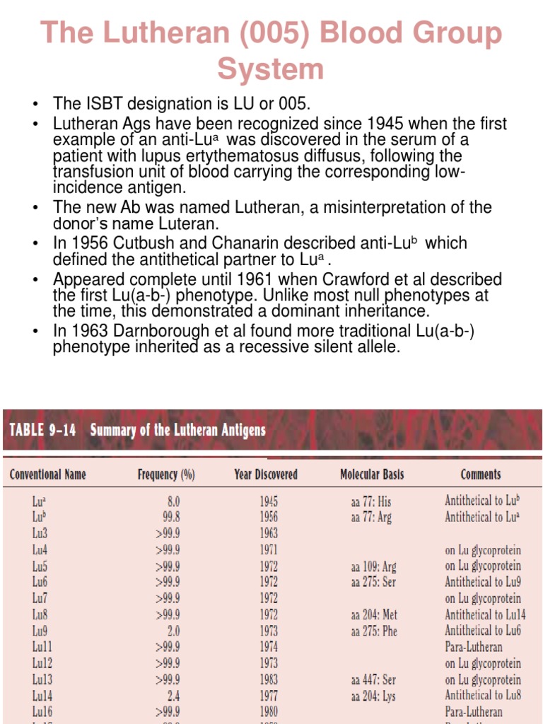 The Lutheran (005) Blood Group System | Blood Type | Antibody
