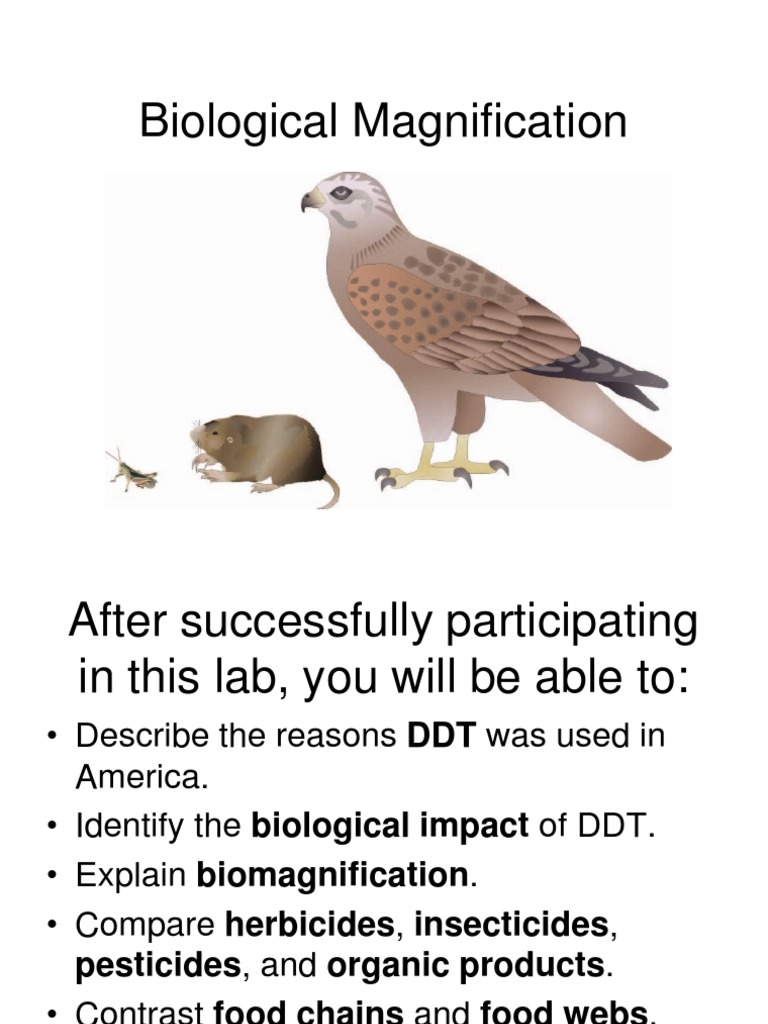 Lab 12 - Biological Magnification Fall 2014 | PDF | Insecticide | Pesticide