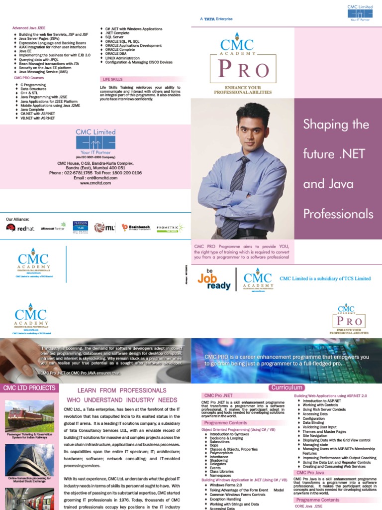 Shaping The and Java Professionals: Job Job | PDF | Programmer | Databases