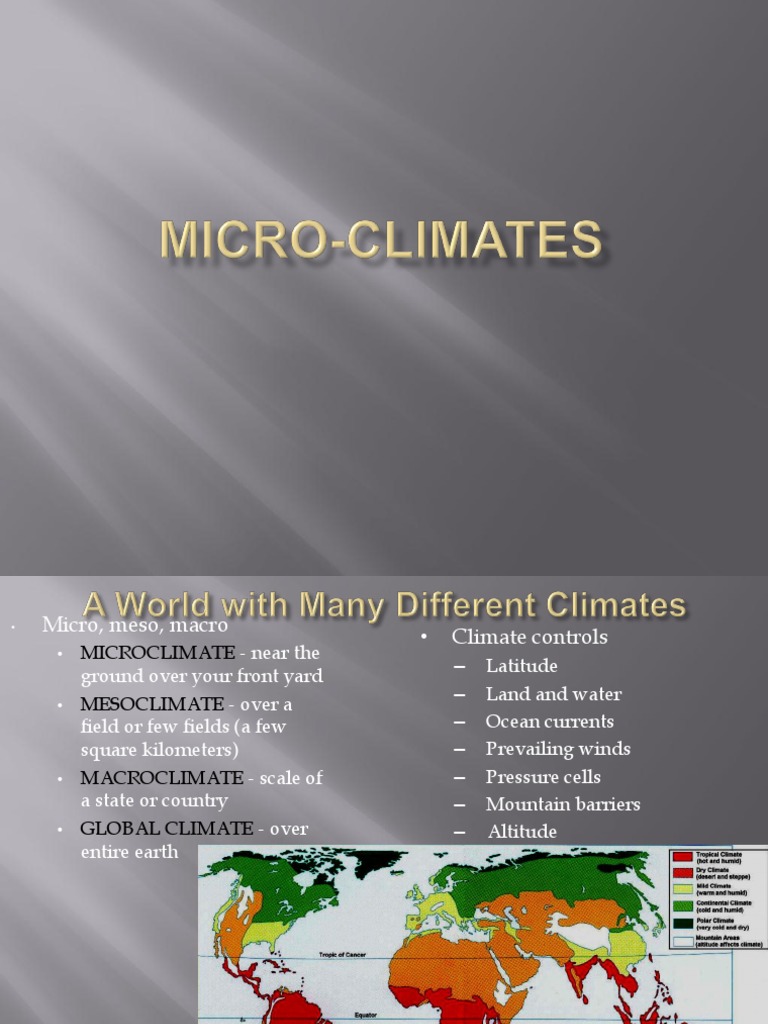 Microclimates | PDF | Climatology | Physical Geography