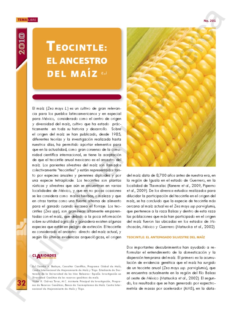 Teocintle | Maíz | Mutación