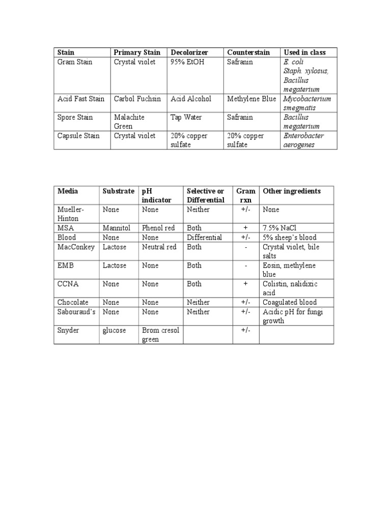 Stain Primary Stain Decolorizer Counterstain Used in Class | PDF