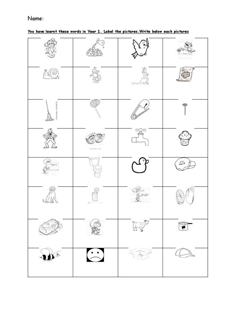 Labelling Pictures For Children | PDF