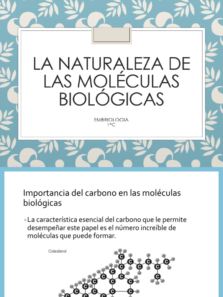 Moléculas Biológicas: Tipos y Funciones | PDF | Ciencia y matemáticas