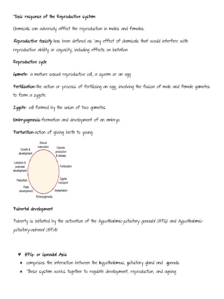 Reproductive Toxicity of Chemicals | PDF | Estrogen | Human Reproduction
