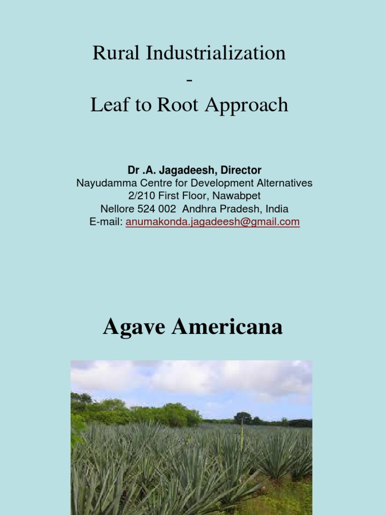 Rural Industrialization Presentation | PDF | Hydroponics | Plants