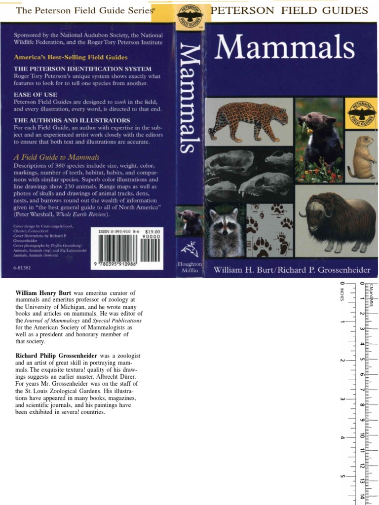 Peterson-Field Guide To The Mammals 3rded | PDF | Whales | Pinniped